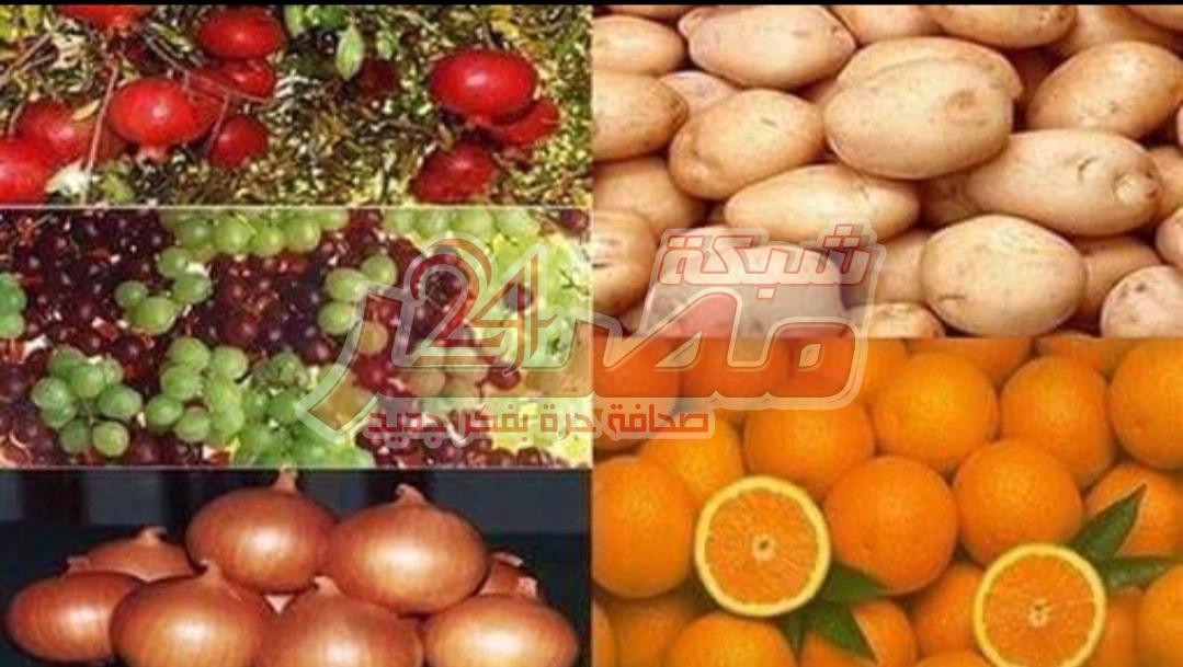 الزراعة ارتفاع صادرات مصر الزراعية لـ أكثر من 5مليون طن